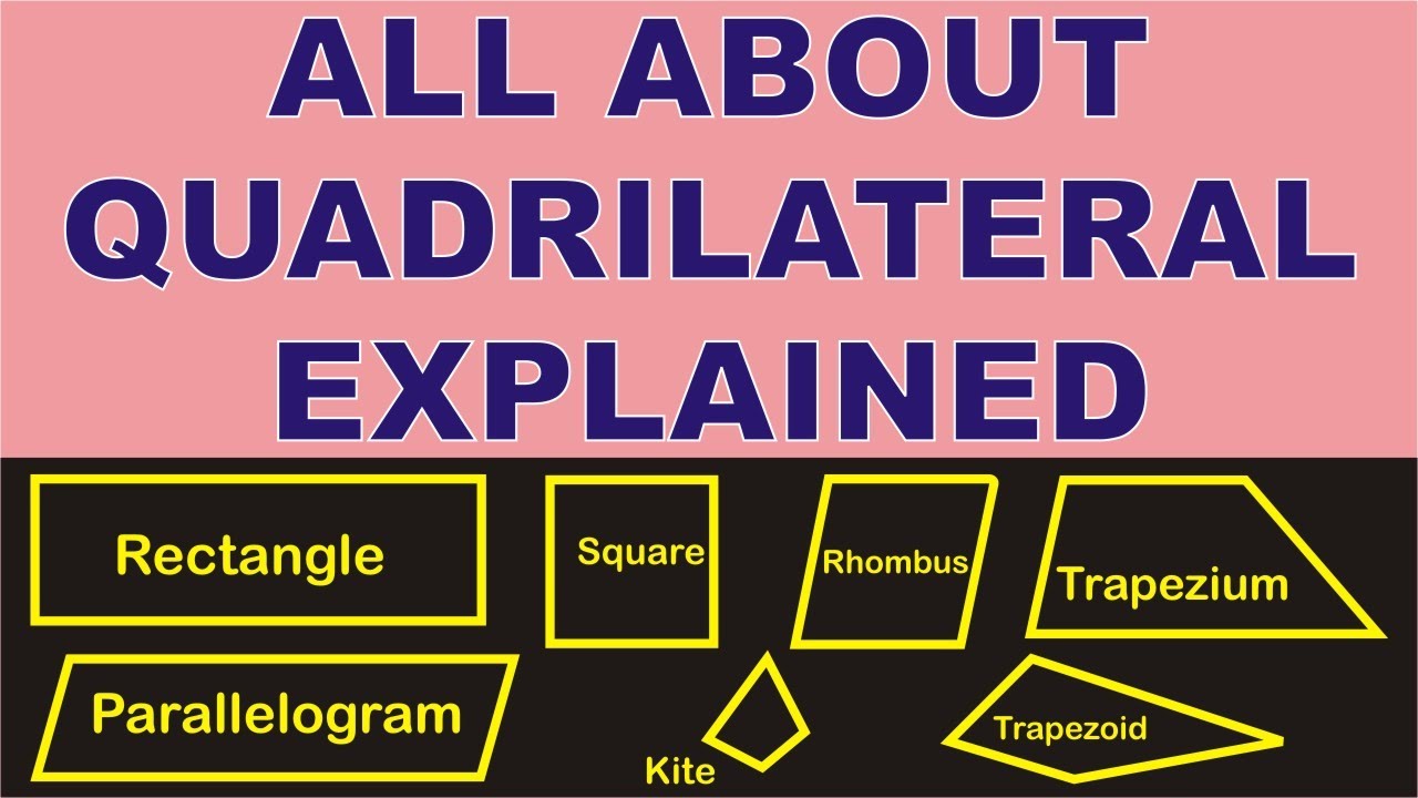 Quadrilateral Explained What is a Quadrilateral Example of ...