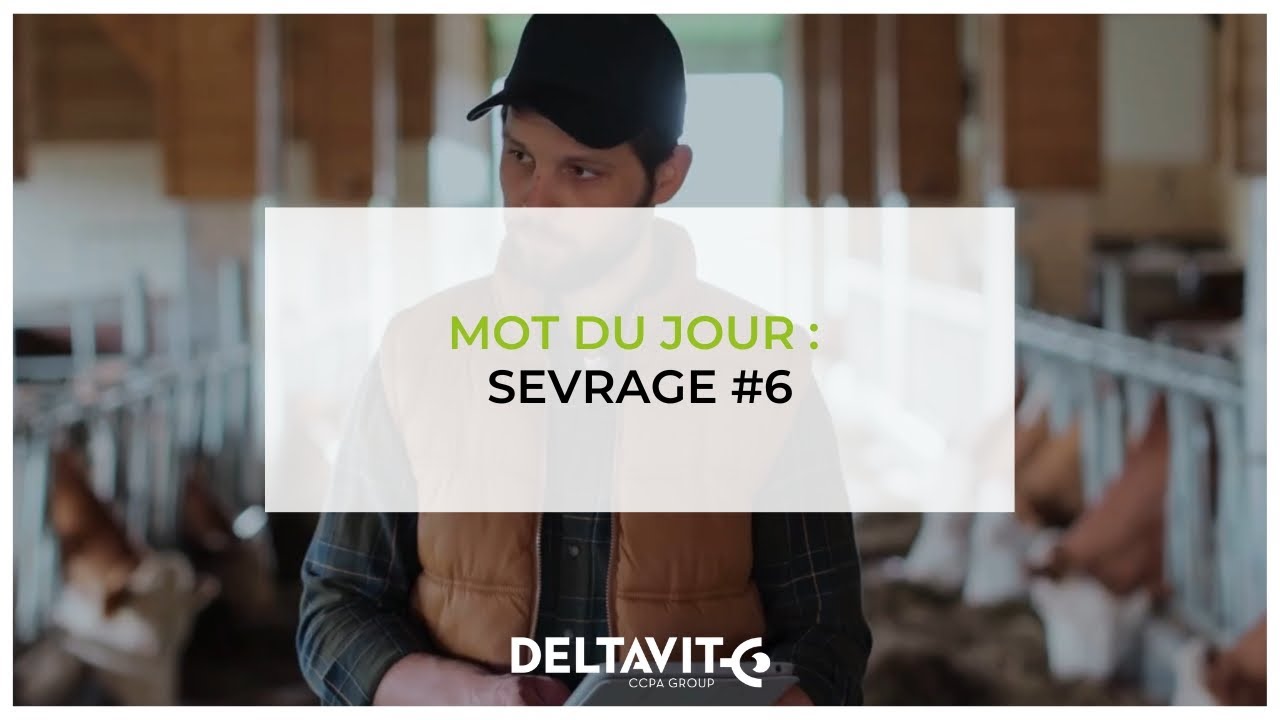 Mot du Jour : le sevrage, c'est quoi ? #6 - YouTube