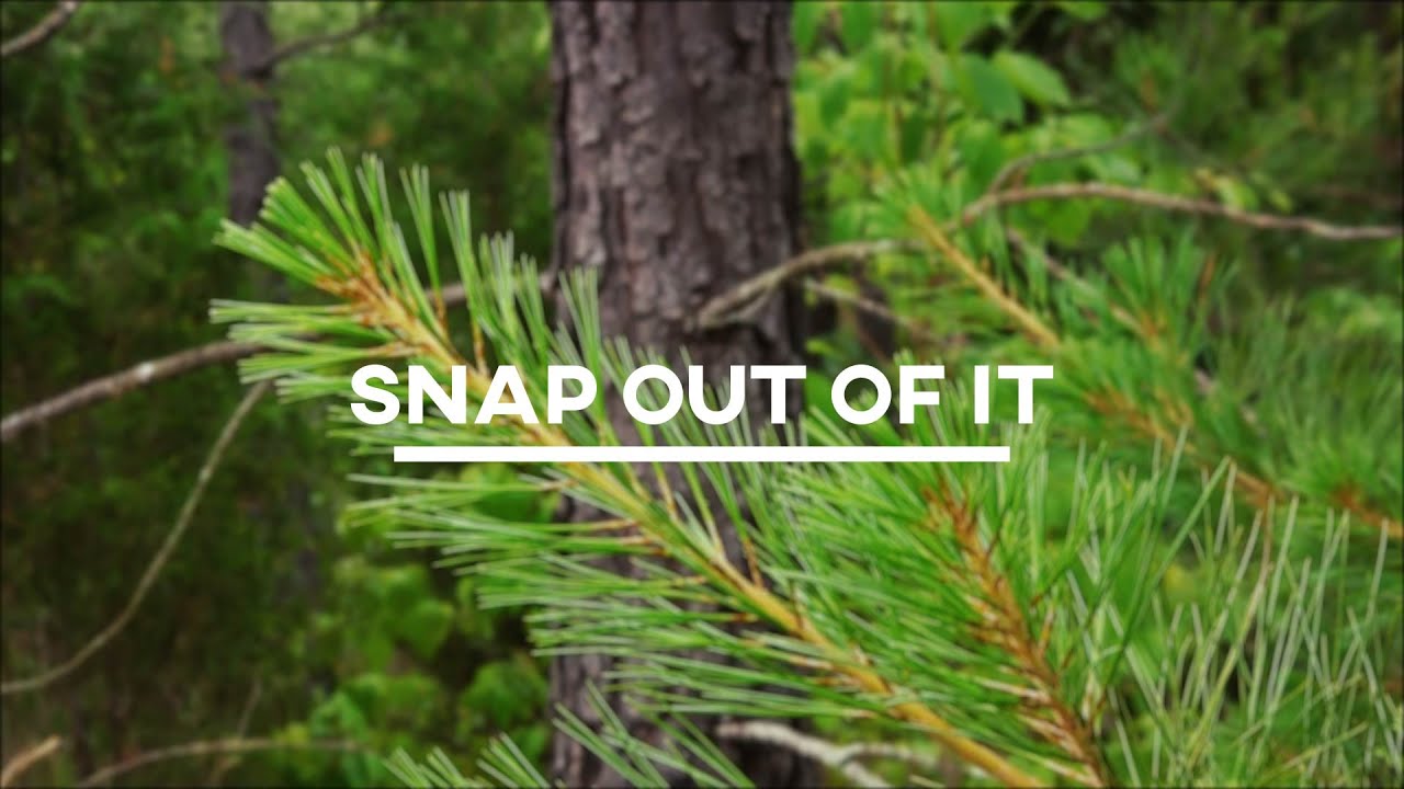 Snap Out Of It - (1 Minute Short Film) - YouTube