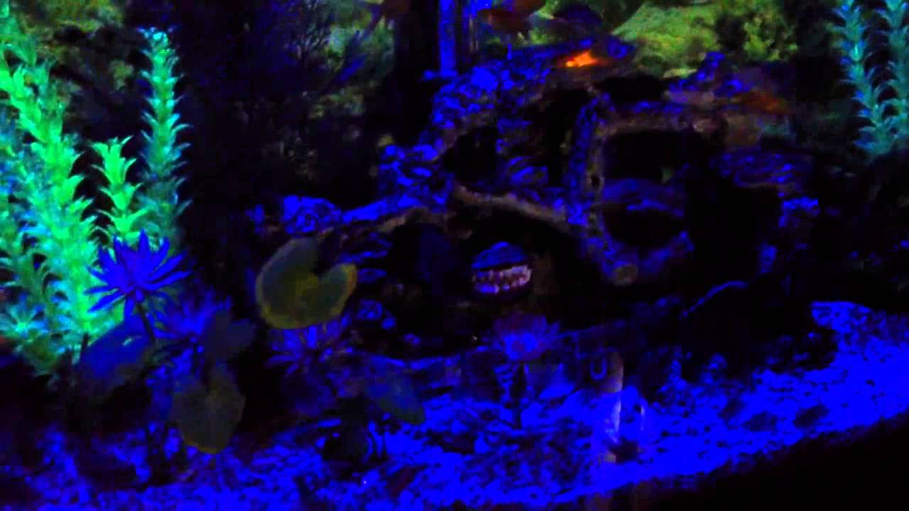 Blue LED on - YouTube