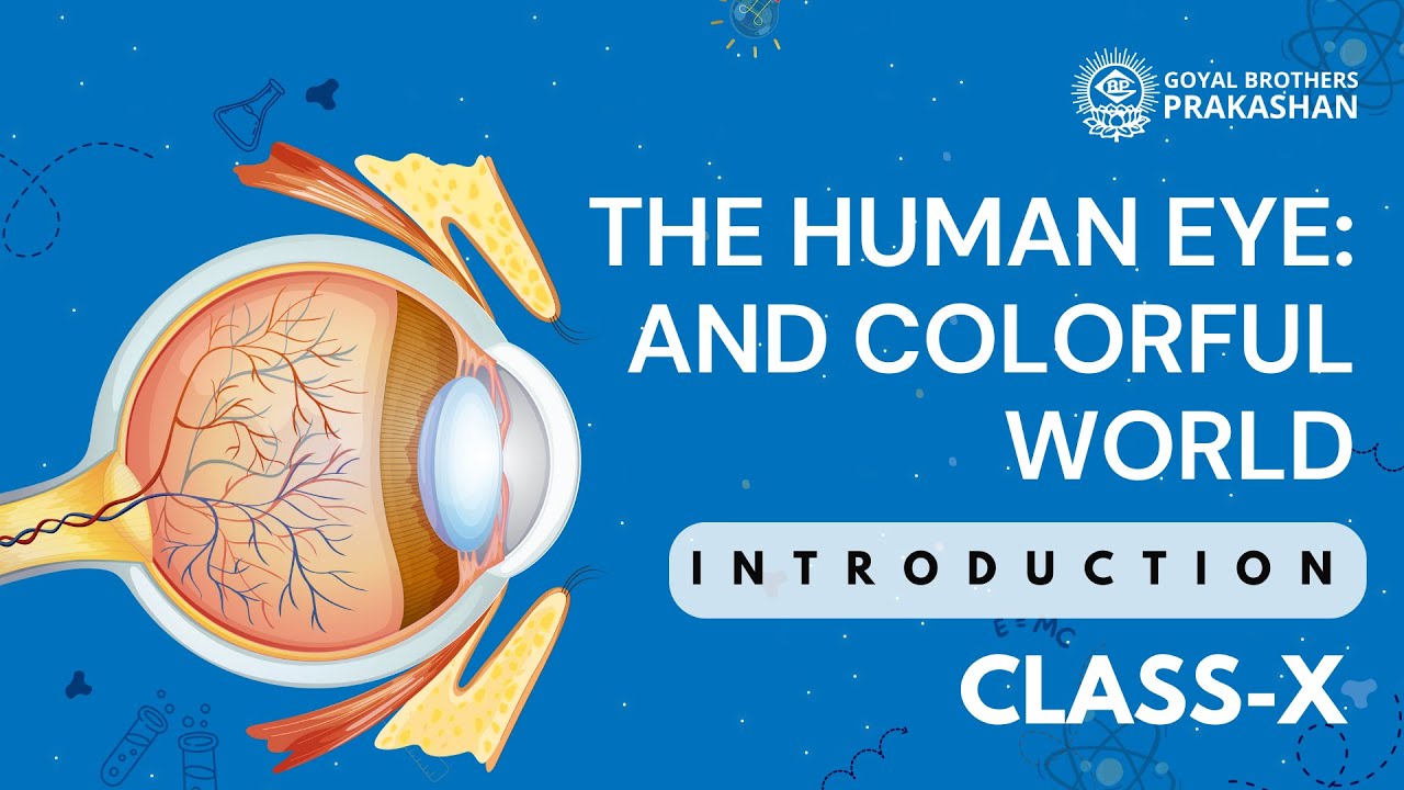 The Human Eye and The Colourful World | Class 10 | Science | NCERT ...