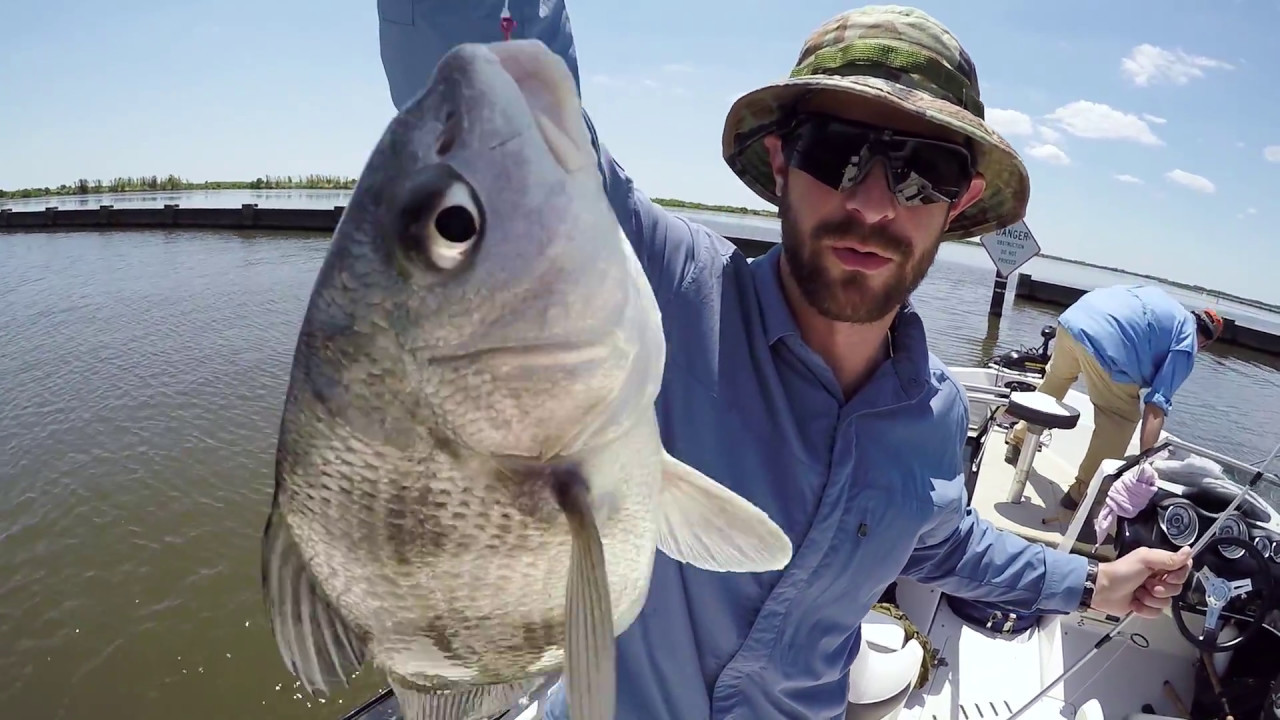 Fishing with Alex B in Lafitte LA redfish, black drum, and speckled ...