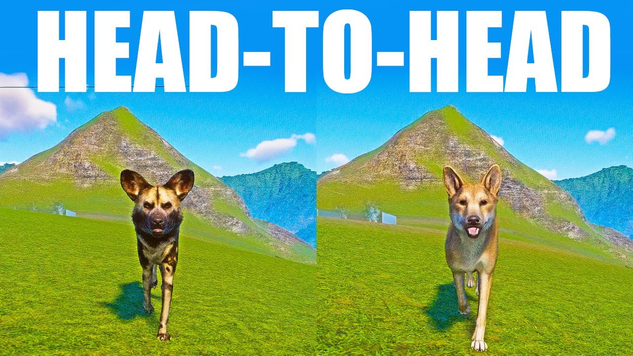 African Wild Dog vs Dingo A Head to Head Speed Race in Planet Zoo - YouTube