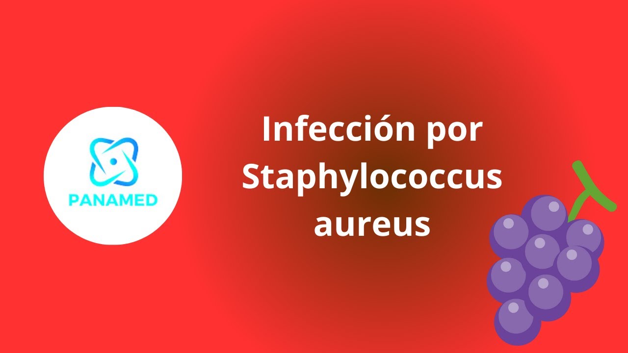 Infección por Staphylococcus aureus, explicada con CASOS CLINICOS - YouTube