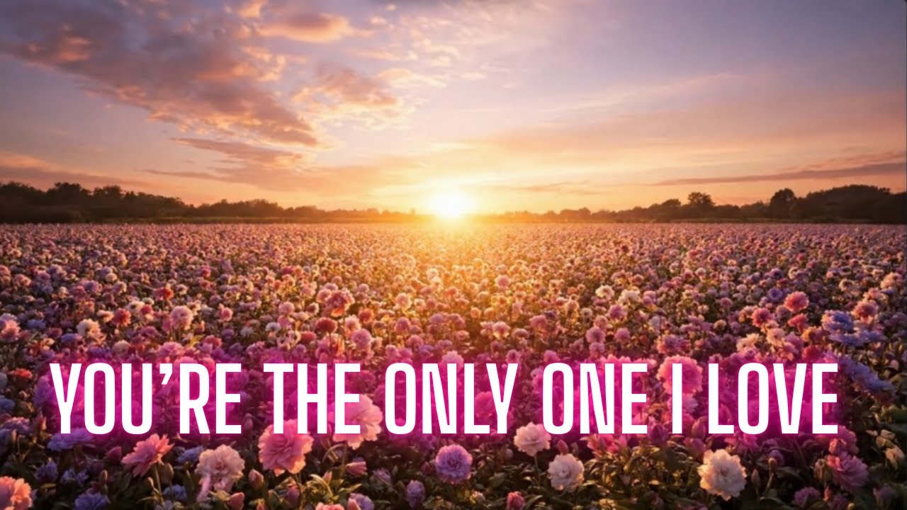 You’re the Only One I Love — No One Else Feels Like You - YouTube