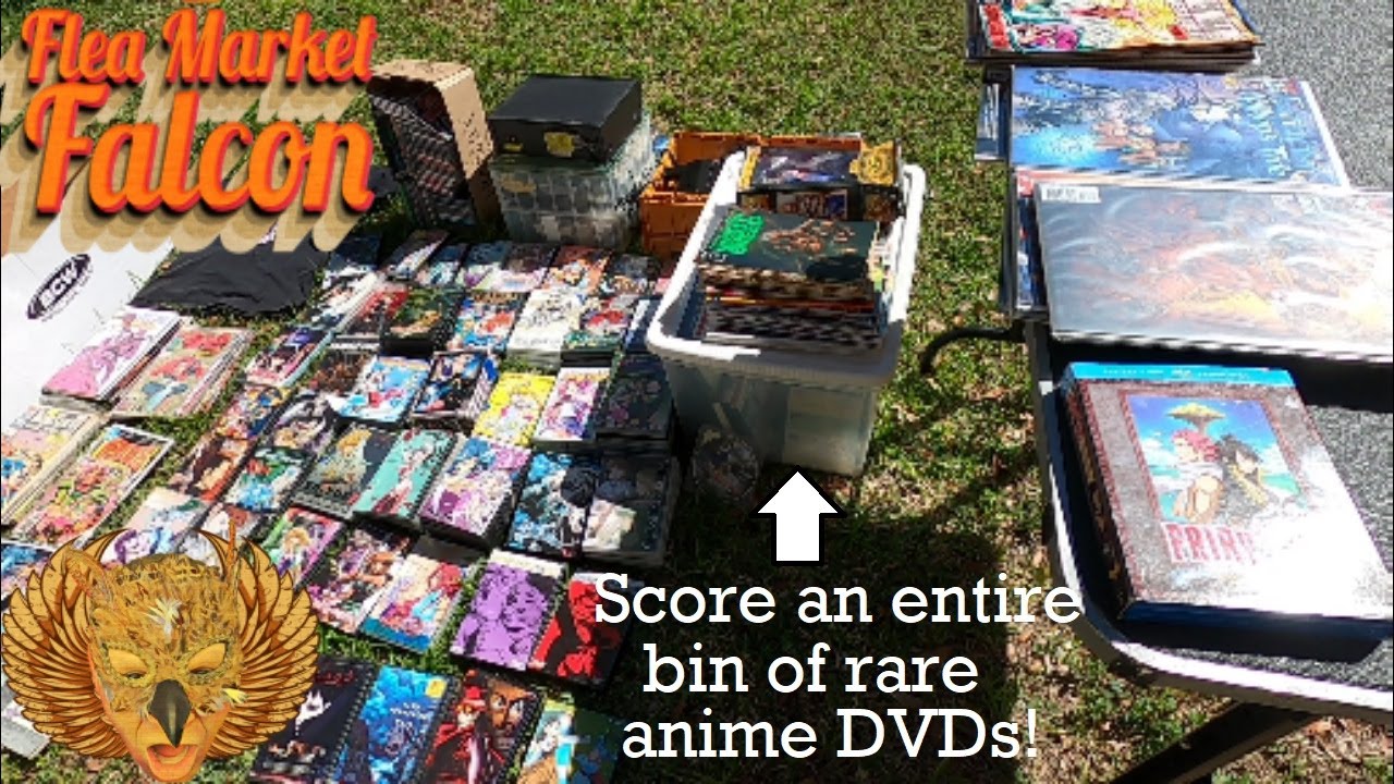 DVD + Video Game hunting at the Flea Market - Score a bin of Rare Anime ...