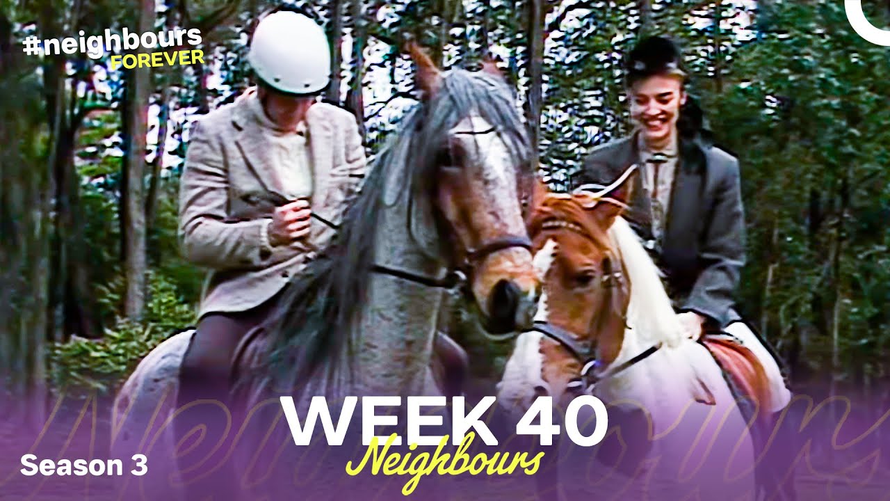 Week 40 | Episodes 596-600 | Neighbours 1987 (Season 3) - YouTube