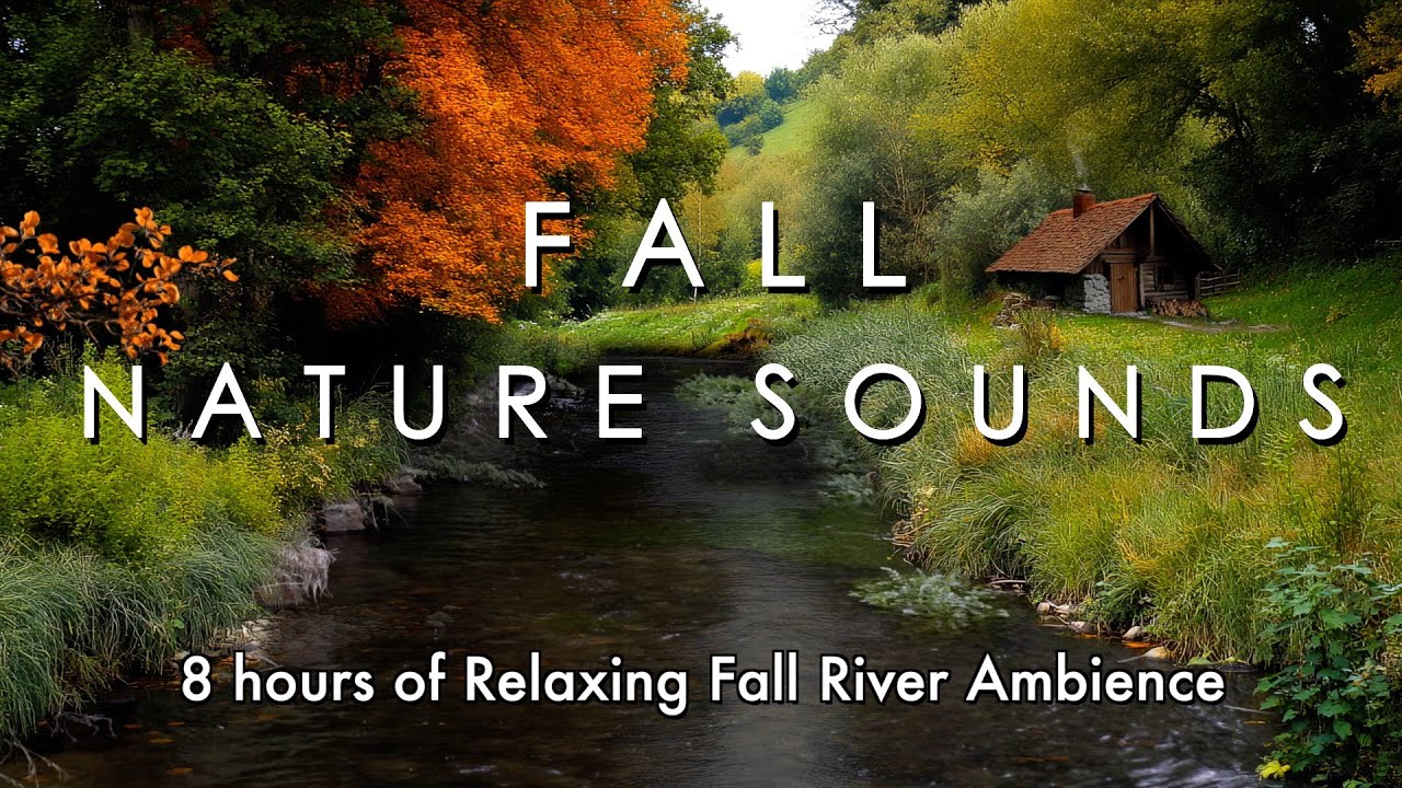Fall Nature Sounds 🍁 8 hours of Relaxing Fall River Ambience - YouTube