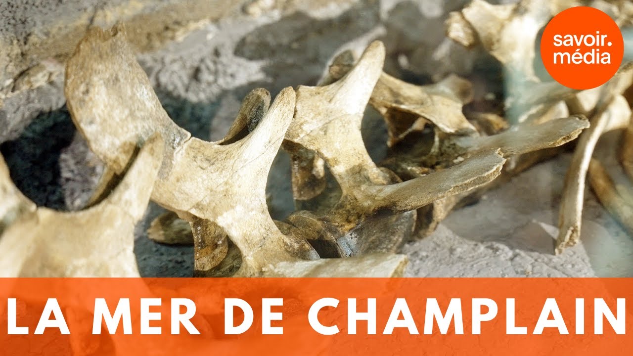La mer de Champlain - La préhistoire du Québec - YouTube