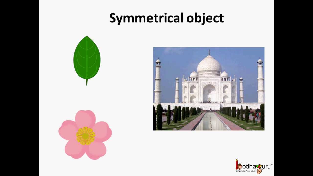 Maths - Axis Of Symmetry - English - YouTube