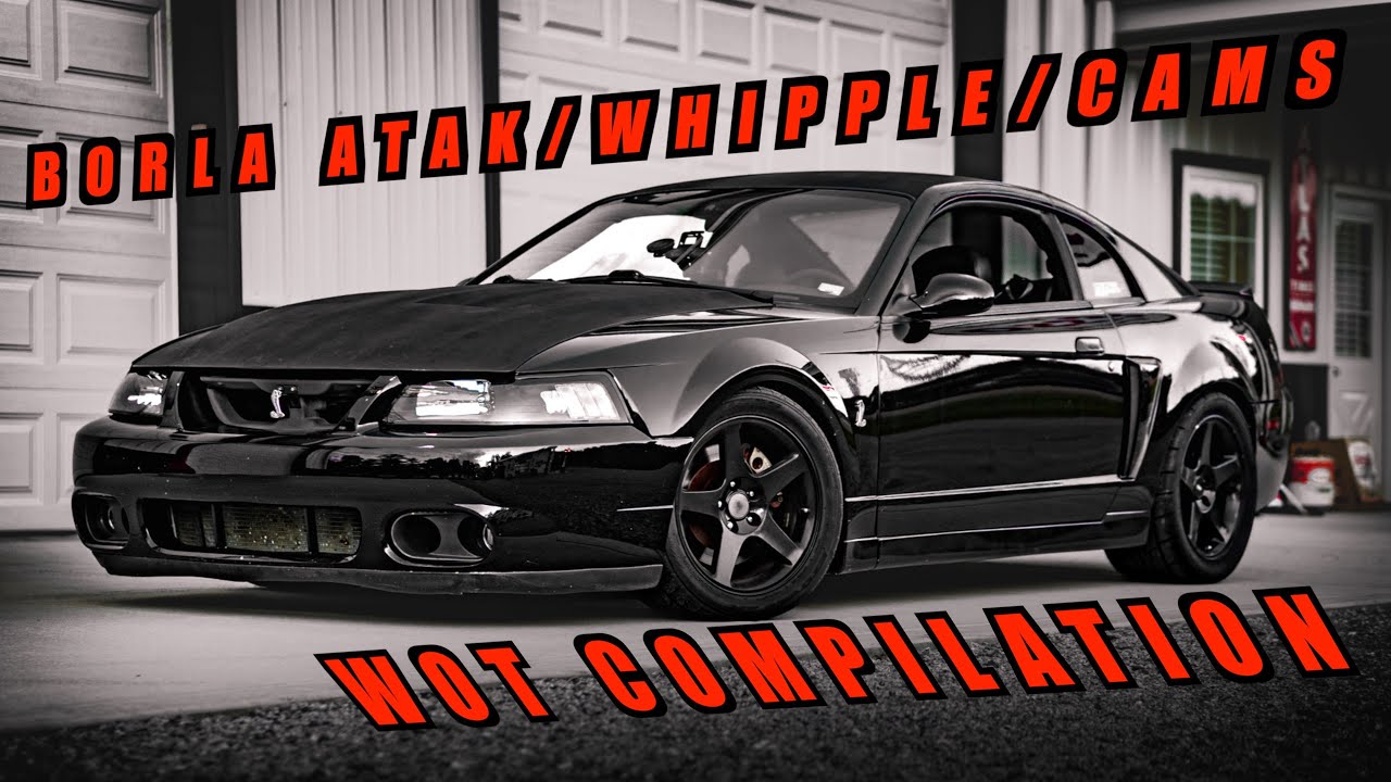Pure Evil Mustang Terminator Cobra! - YouTube