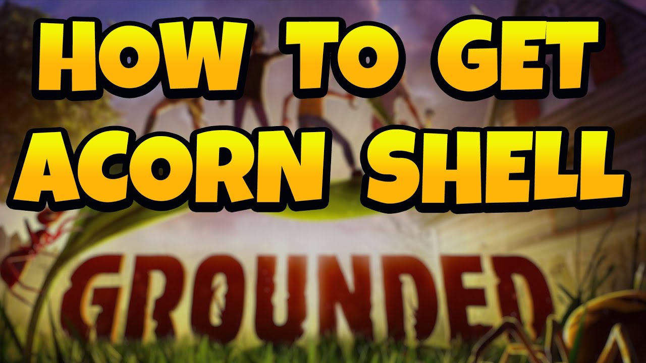 Acorn Shell