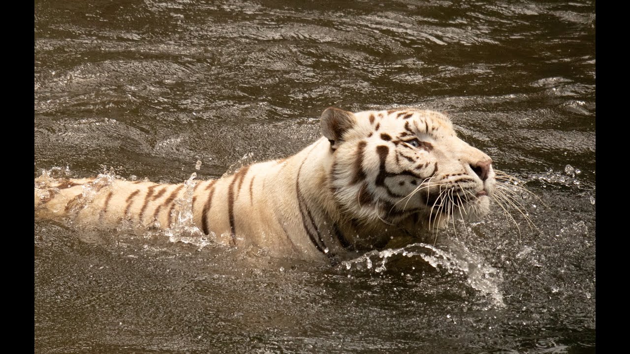 Family Holiday to Singapore - Gardens by the Bay, Marina Bay Sands ...
