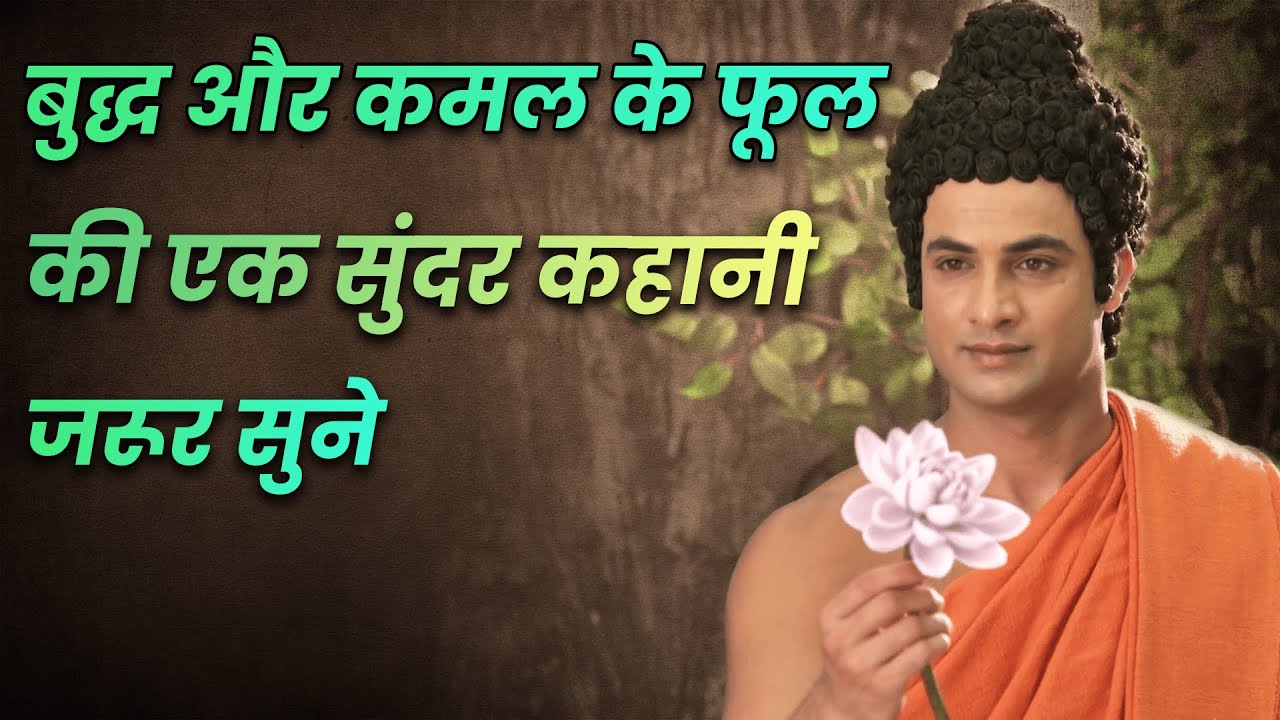 Buddha Teachings | कमल के फूल से मनुष्य को क्या सीखा चाहिए ? | Buddha ...
