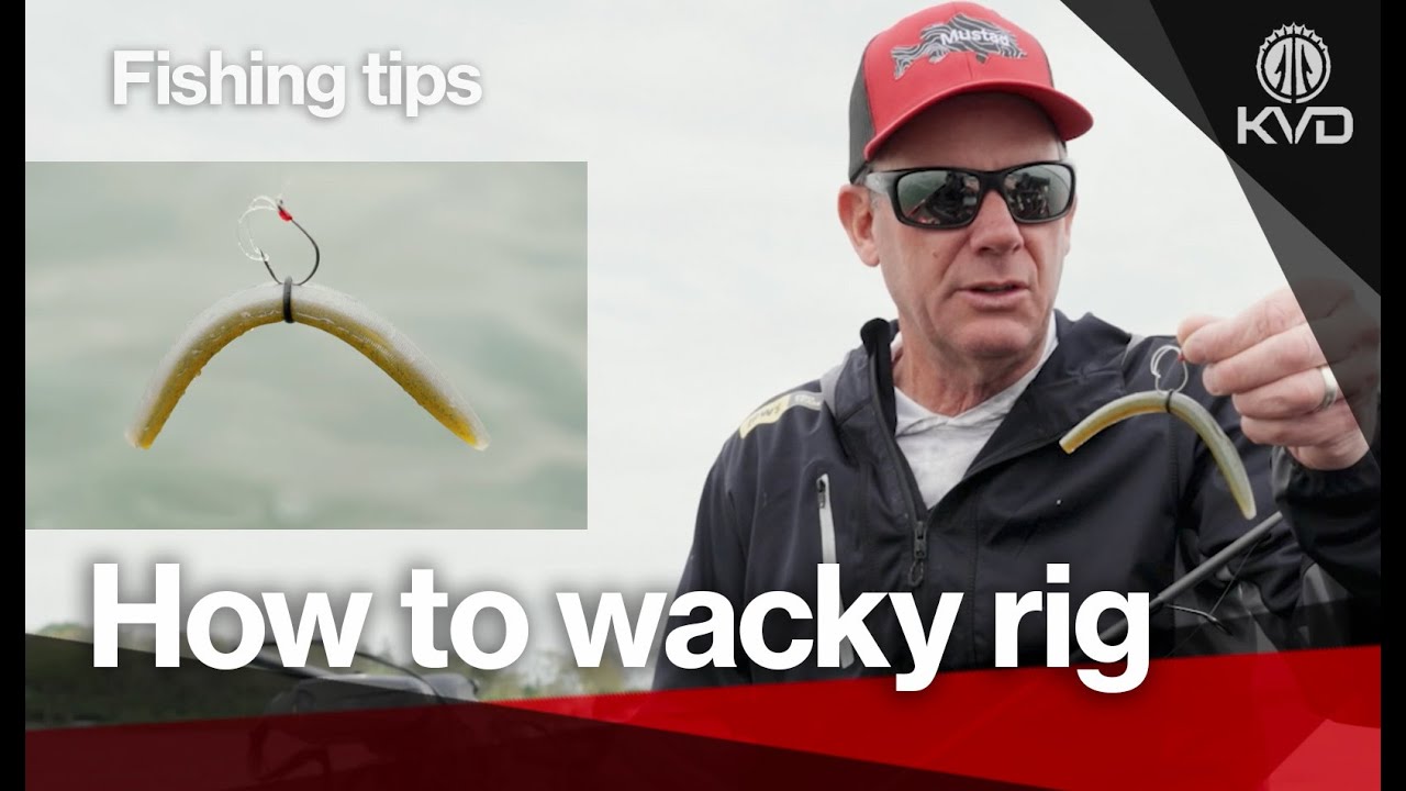 The fishing rig that whacks them every time - Wacky Rig - YouTube