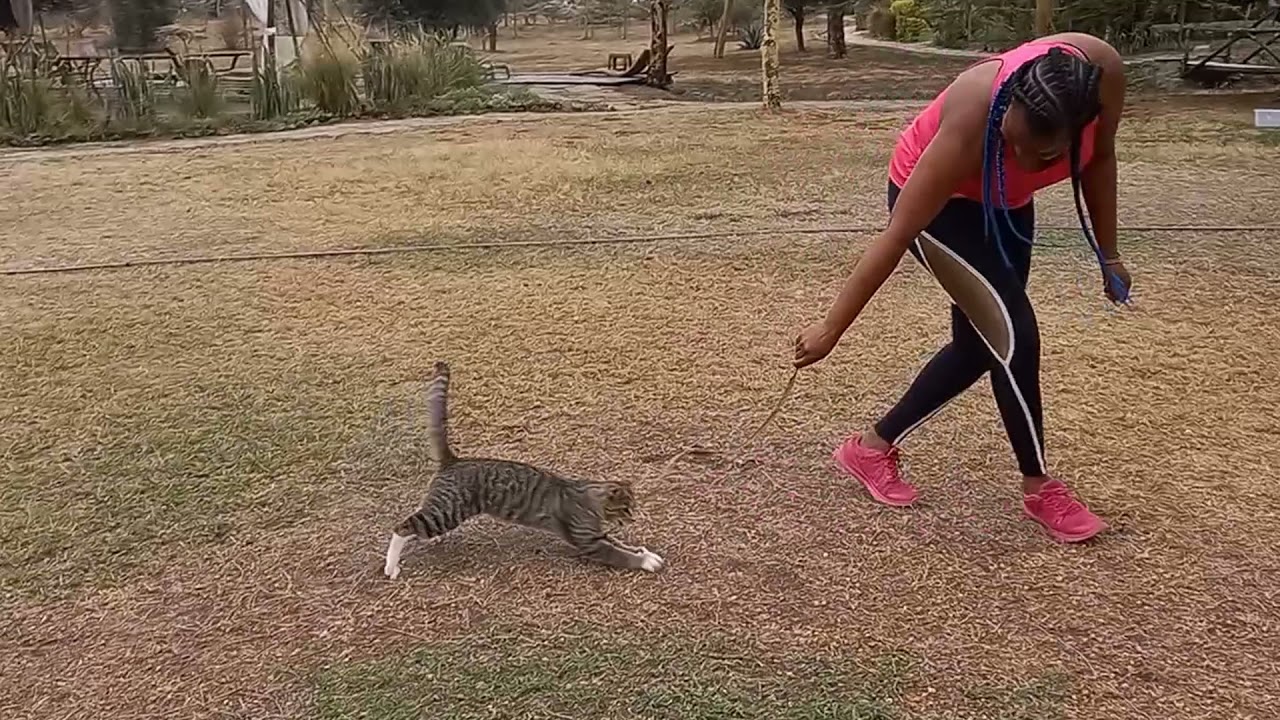THINGS TO NOTE ABOUT SWARA ACACIA LODGE/BIKING/NEW FRIEND/WILDLIFE ...