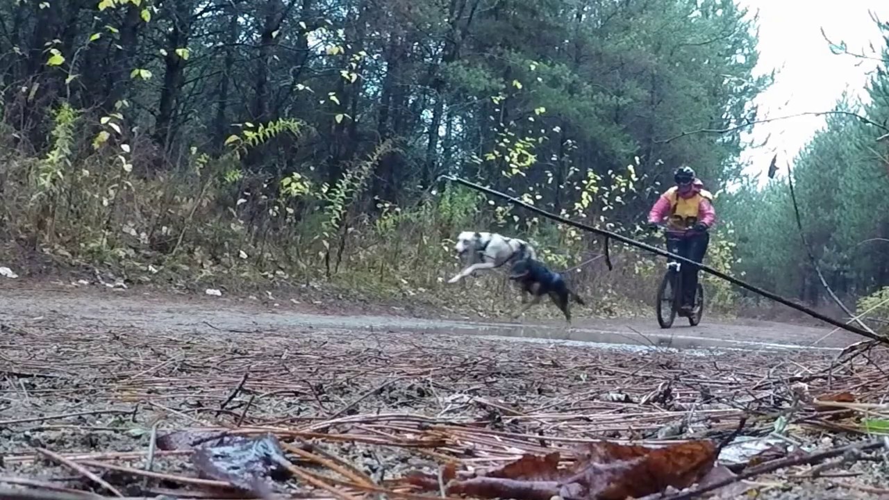 puddle hopper - YouTube