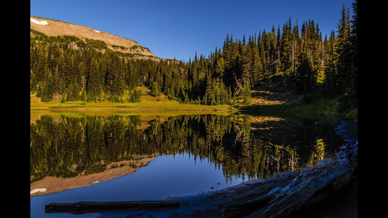 A leisurely 4 mile hike to Shadow Lake, Sunrise, WA - YouTube