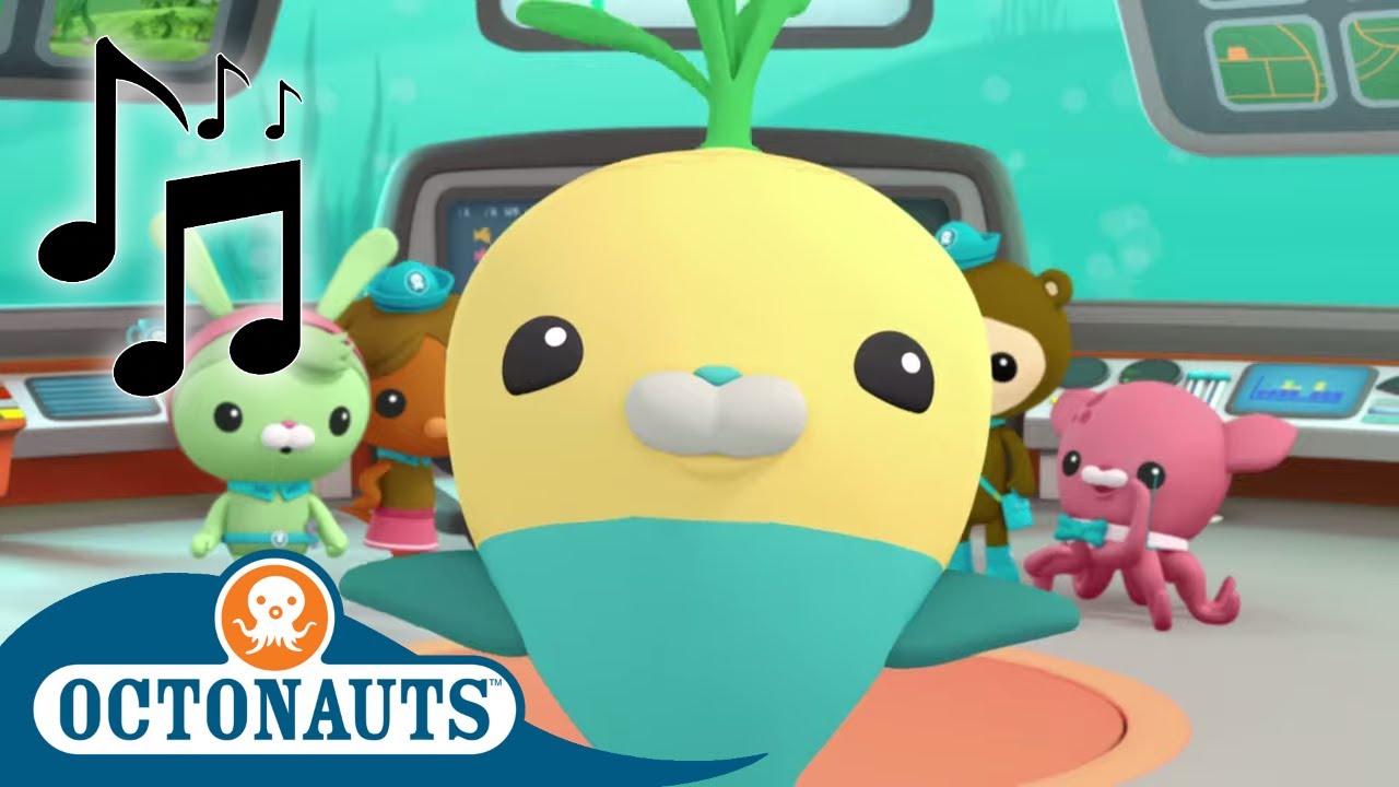 Octonauts creature report song lyrics - meryhell