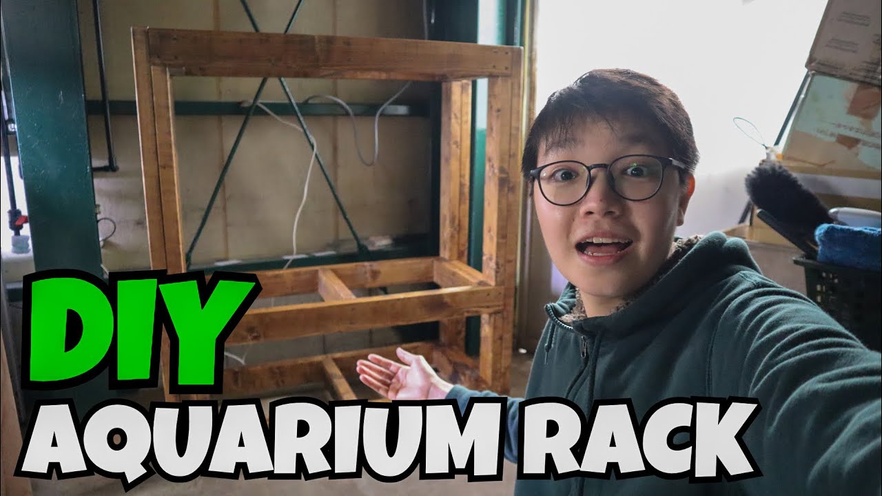 *NEW* DIY AQUARIUM RACK | 2x4 Wood Rack for 40 gallons and Nano Tanks ...