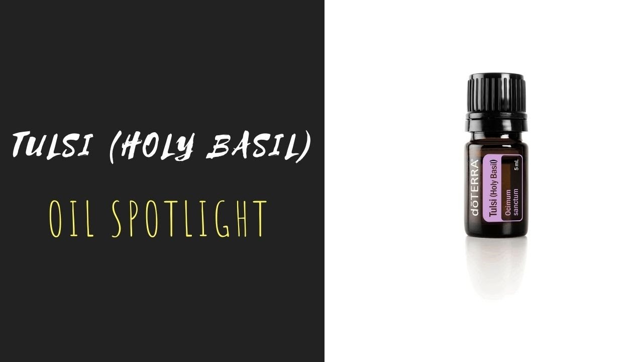 Tulsi - doTERRA Essential Oil Spotlight - YouTube