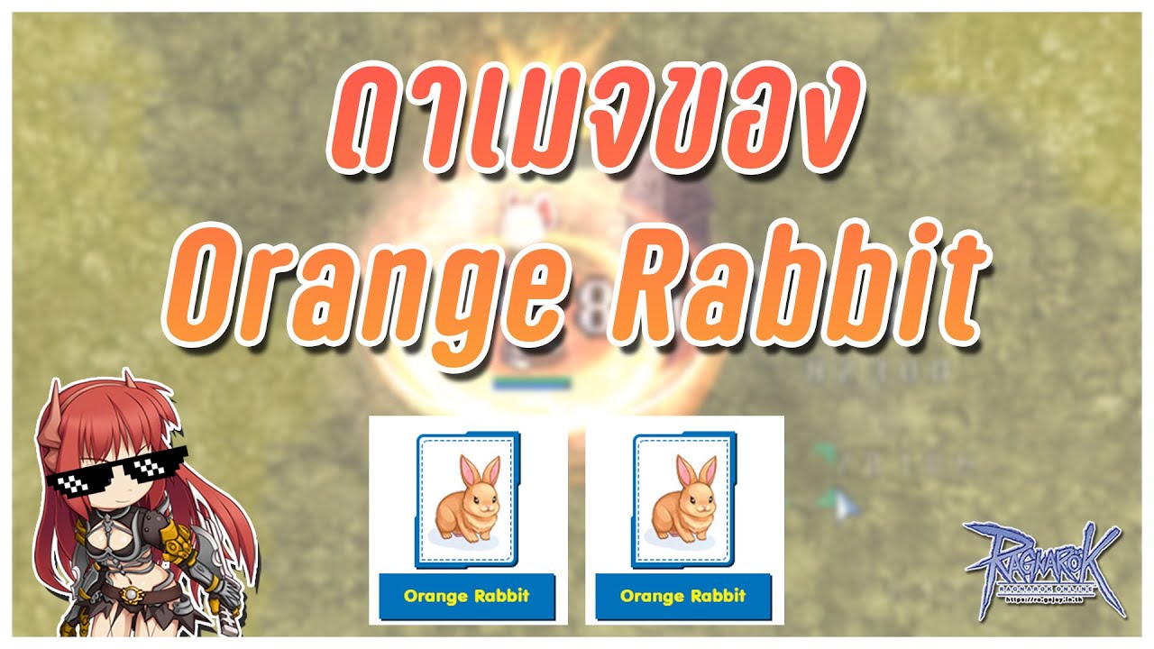 ดาเมจของ Orange Rabbit จากของที่ผมมี [ROGGT] Ragnarok Gravity - YouTube