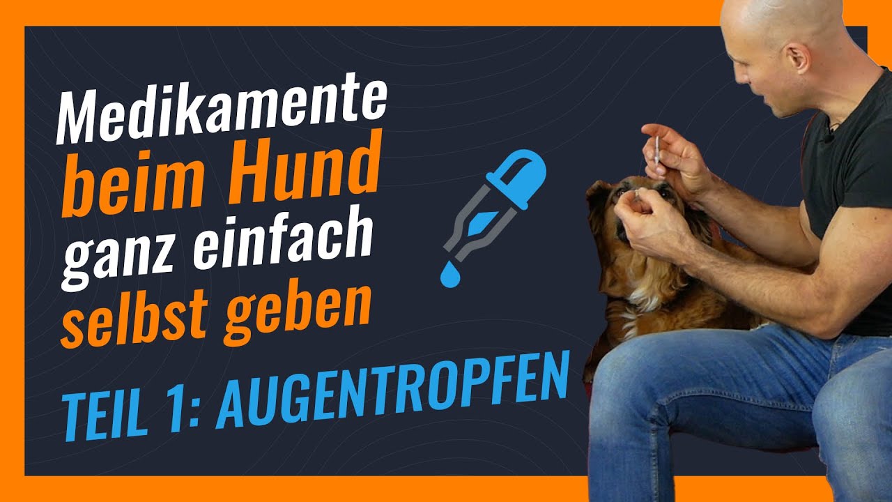Medikamente für Hunde | Teil 1 | Augentropfen geben leicht gemacht ...