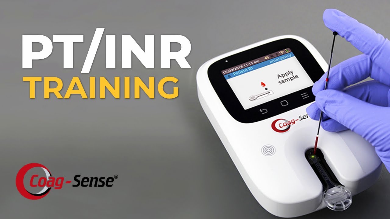 Coag-Sense PT/INR Training | How to Perform Accurate PT/INR Testing ...