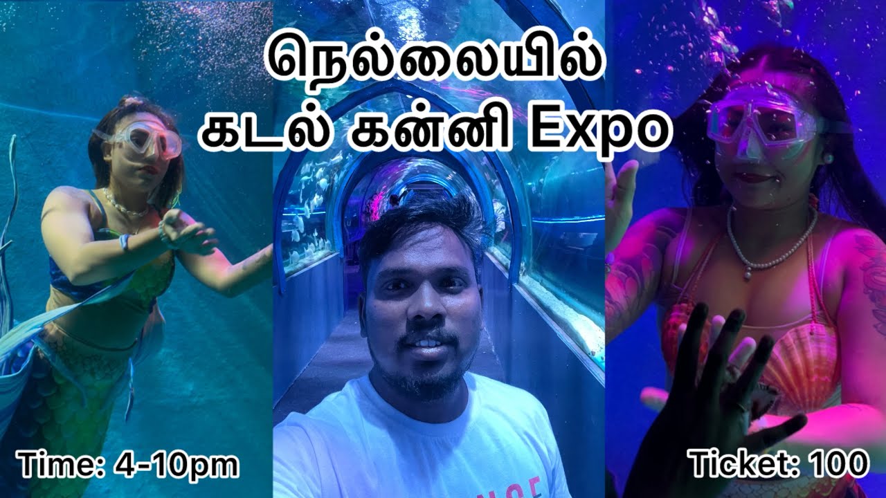 கடல் கன்னி Expo In Tirunelveli | Kadal kanni expo in Nellai 2024 ...