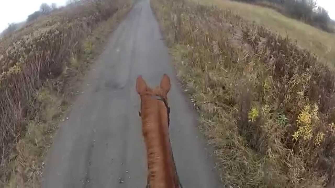 POV horseback riding with Kira - YouTube
