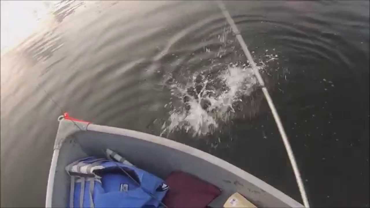 Pike HAMMERS Crankbait - YouTube