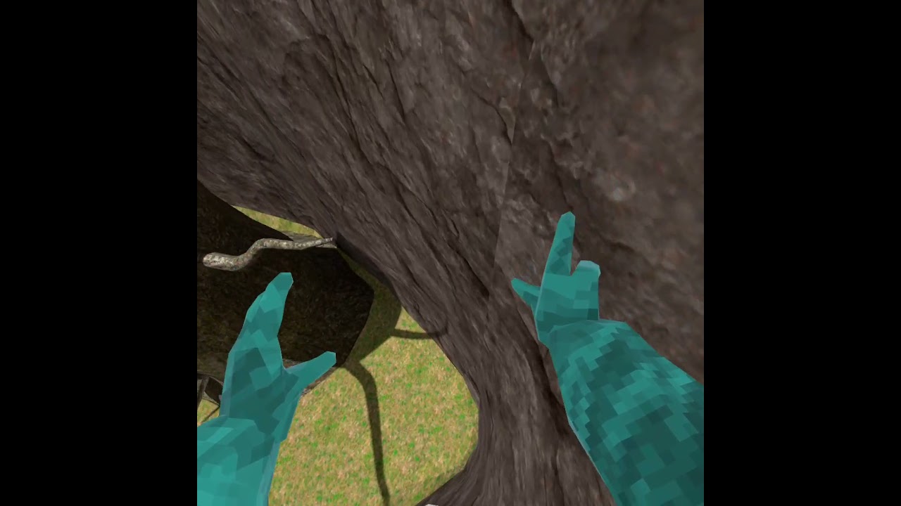 Getting On Top Of The RTX Forest Map In Gorilla Tag - YouTube