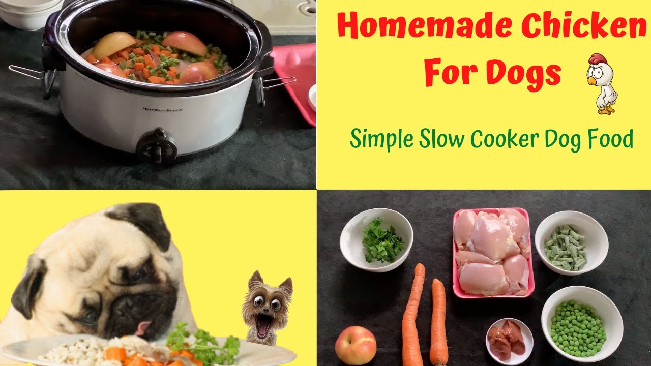 Homemade Chicken For Dogs Pet Fooled Inspired Slow Cooker Dog Food homemade-chicken-for-dogs-pet-fooled-inspired-slow-cooker-dog-food