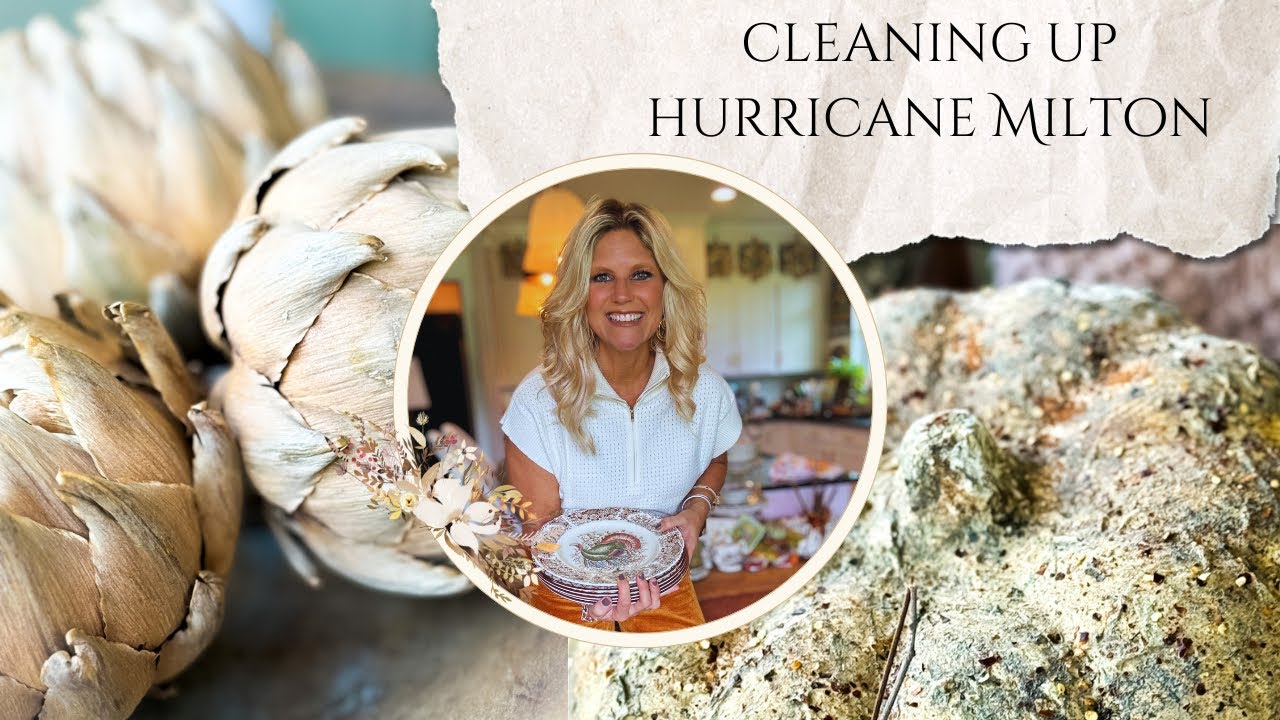 Milton clean up/How to dry artichokes, How to make cheap pumpkins look ...