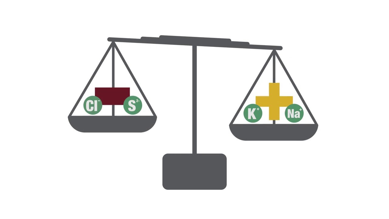 The DCAD Balancing Equation - YouTube