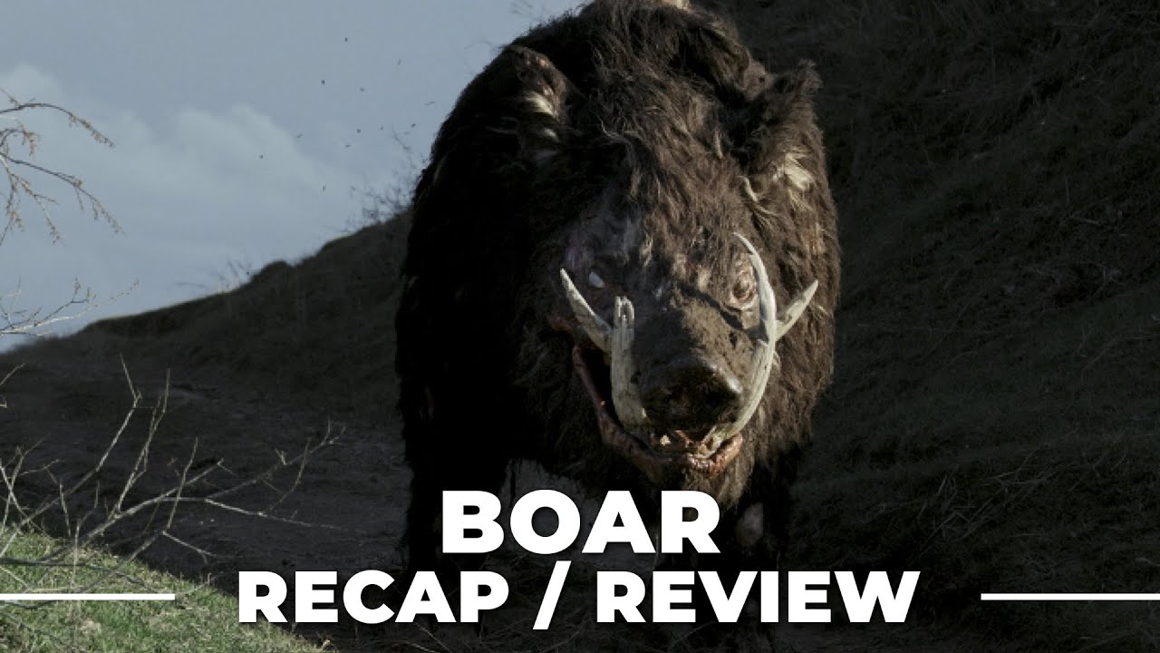 Boar (2018) Recap & Review - YouTube
