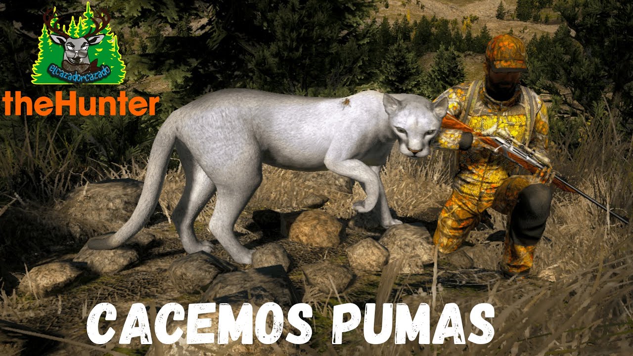 Cacemos Pumas || The Hunter Classic II Guía extensa - YouTube