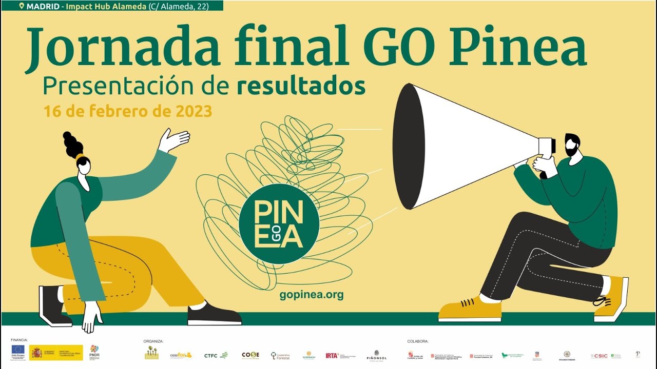 Jornada Final GO PINEA. Presentación de resultados. - YouTube