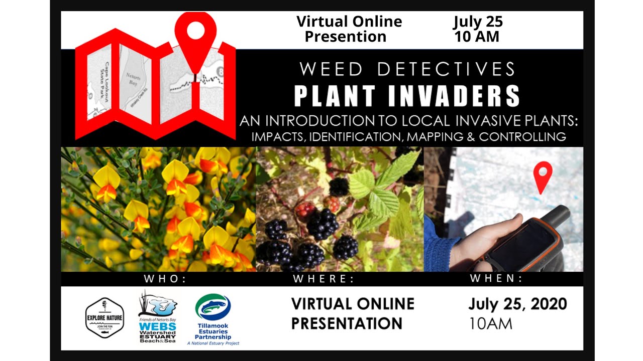 Weed Detectives and Plant Invaders - YouTube