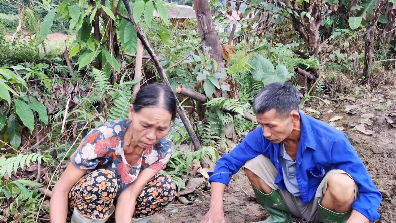 Parents felt worried when Tien was very sad about the divorce - YouTube