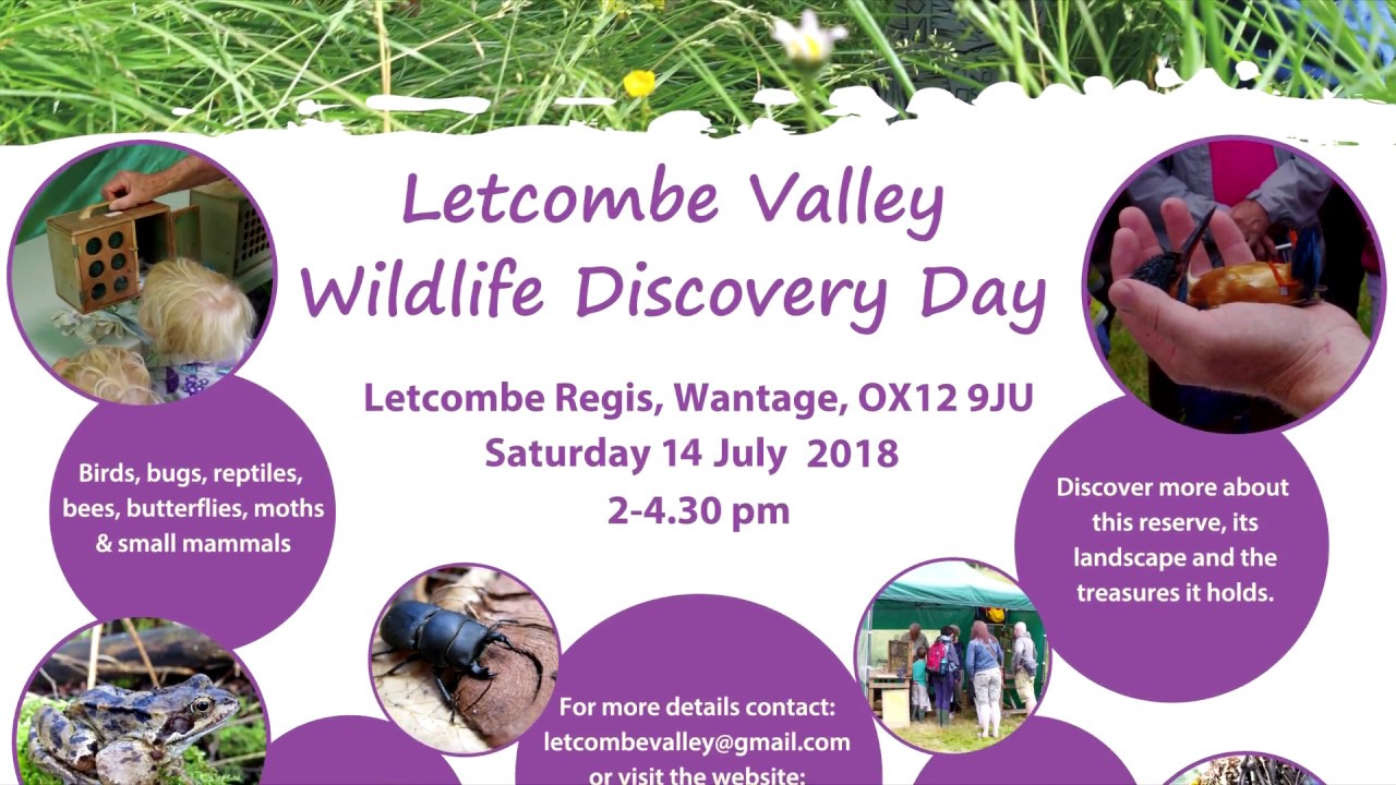 Letcombe Valley Discovery Day 2018 - YouTube