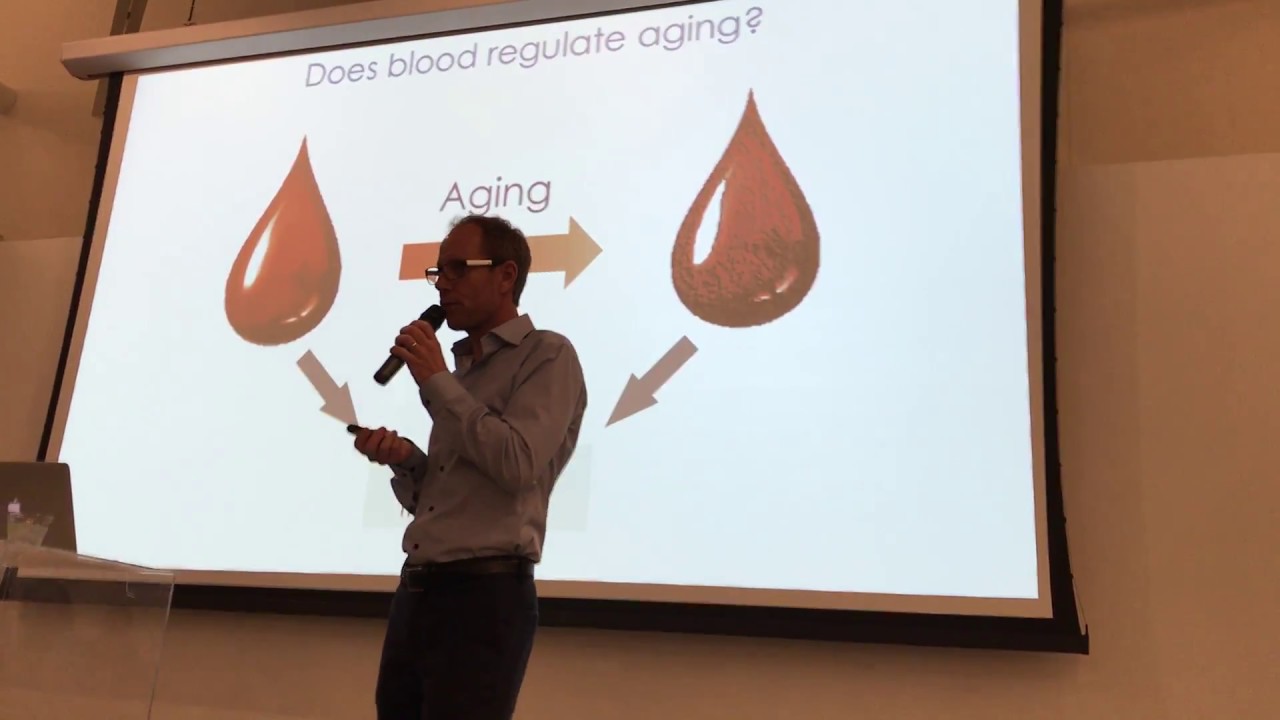 Fountain of Youth? Science of Blood, Aging, & Parabiosis - YouTube