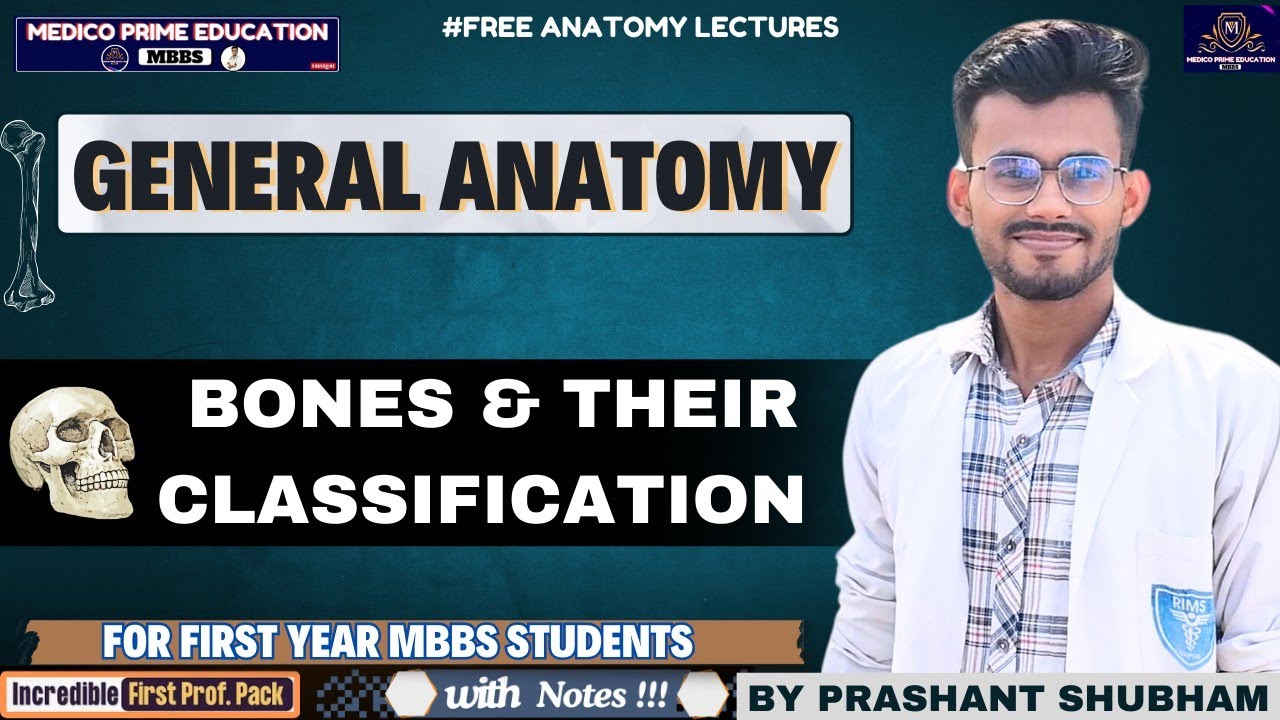 Bone Anatomy | Classification of Bones | General Anatomy | Types of ...
