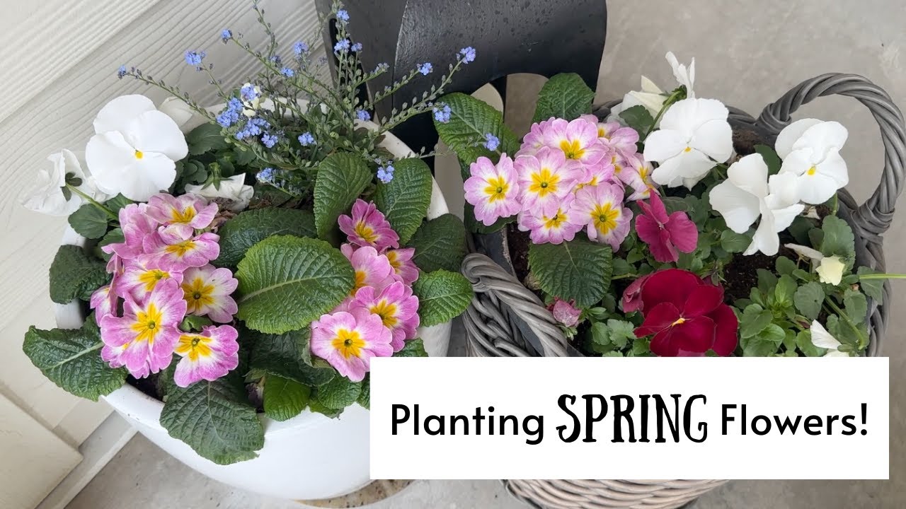 Planting SPRING flowers! And a little Spring Clean Up! - YouTube