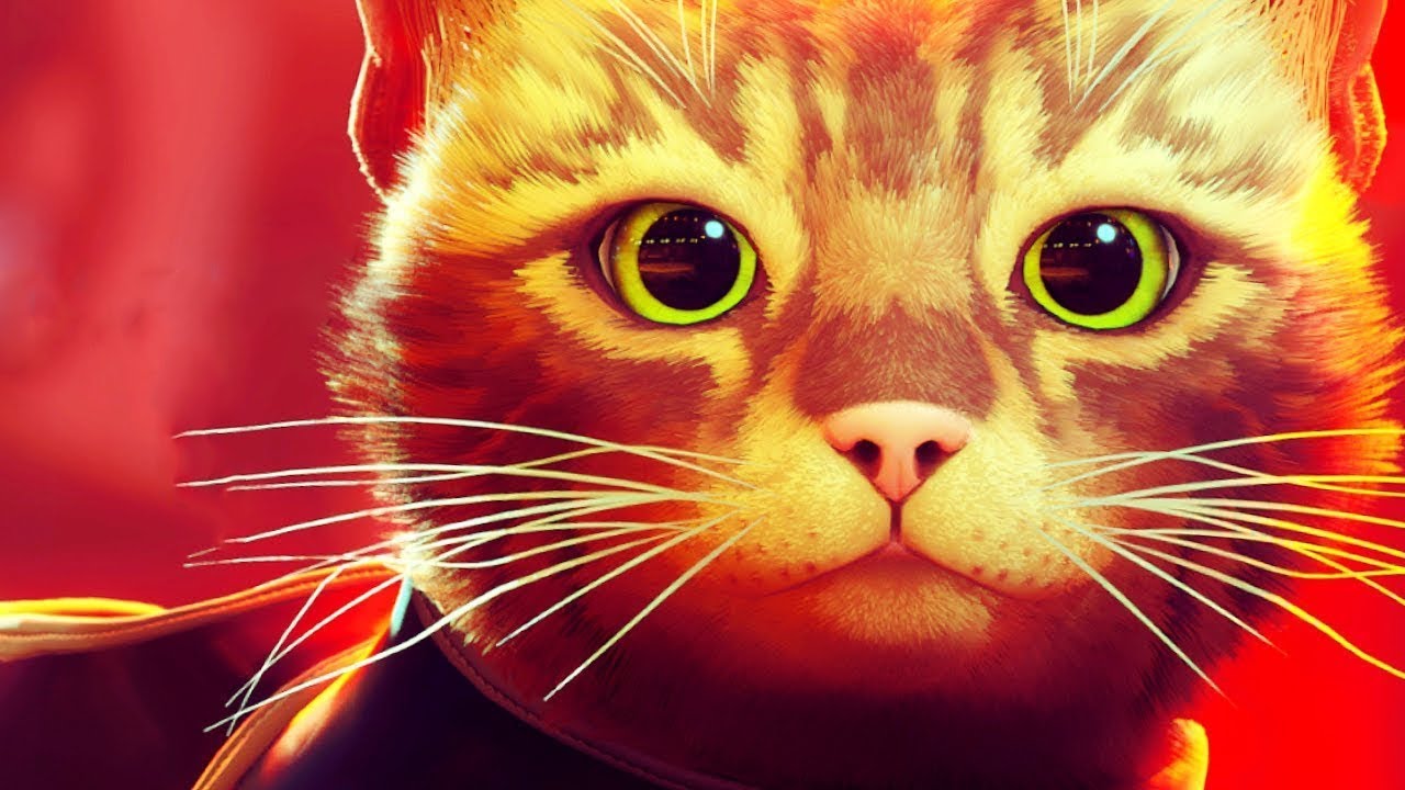 STRAY PS5 - Gamers with Cats Be Like... - YouTube