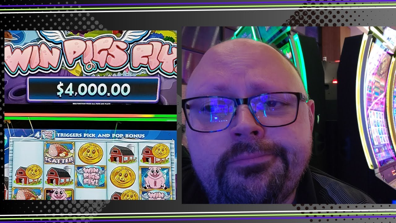 Win Pigs Fly Slot Machine Play - YouTube