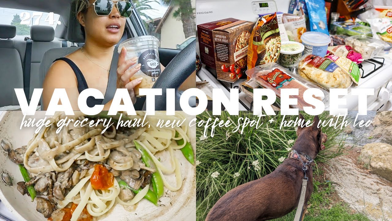 VACATION RECOVERY & RESET: Huge Grocery Haul + New Trader Joe's Items ...