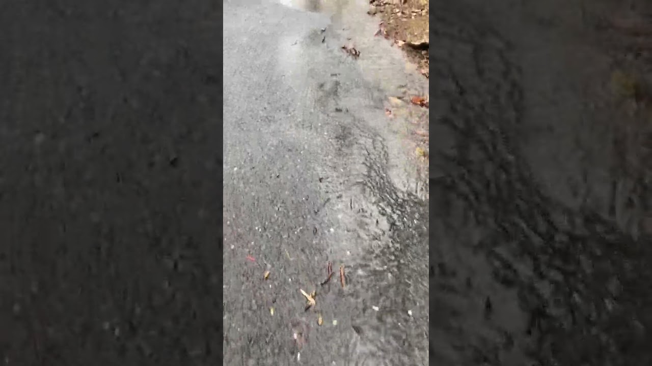 Boiling water comes thru asphalt? - YouTube
