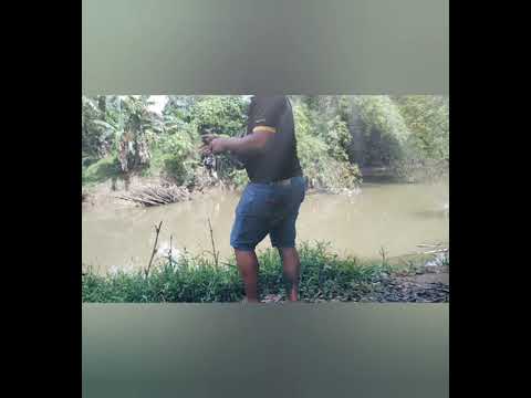 Penampang River Monster Gerakan Solo Memburuh Monster Yang Ada Di Dalam Sungai