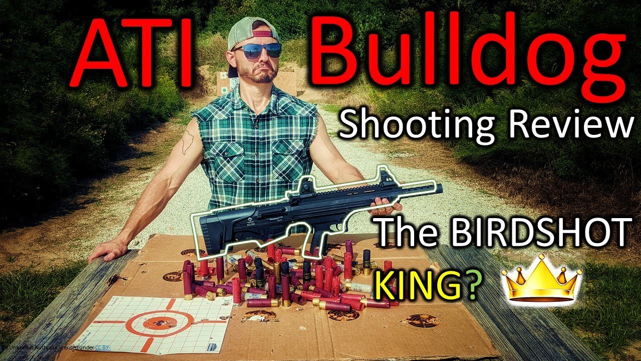 ATI Bulldog Bullpup Shotgun: Birdshot King?! - YouTube